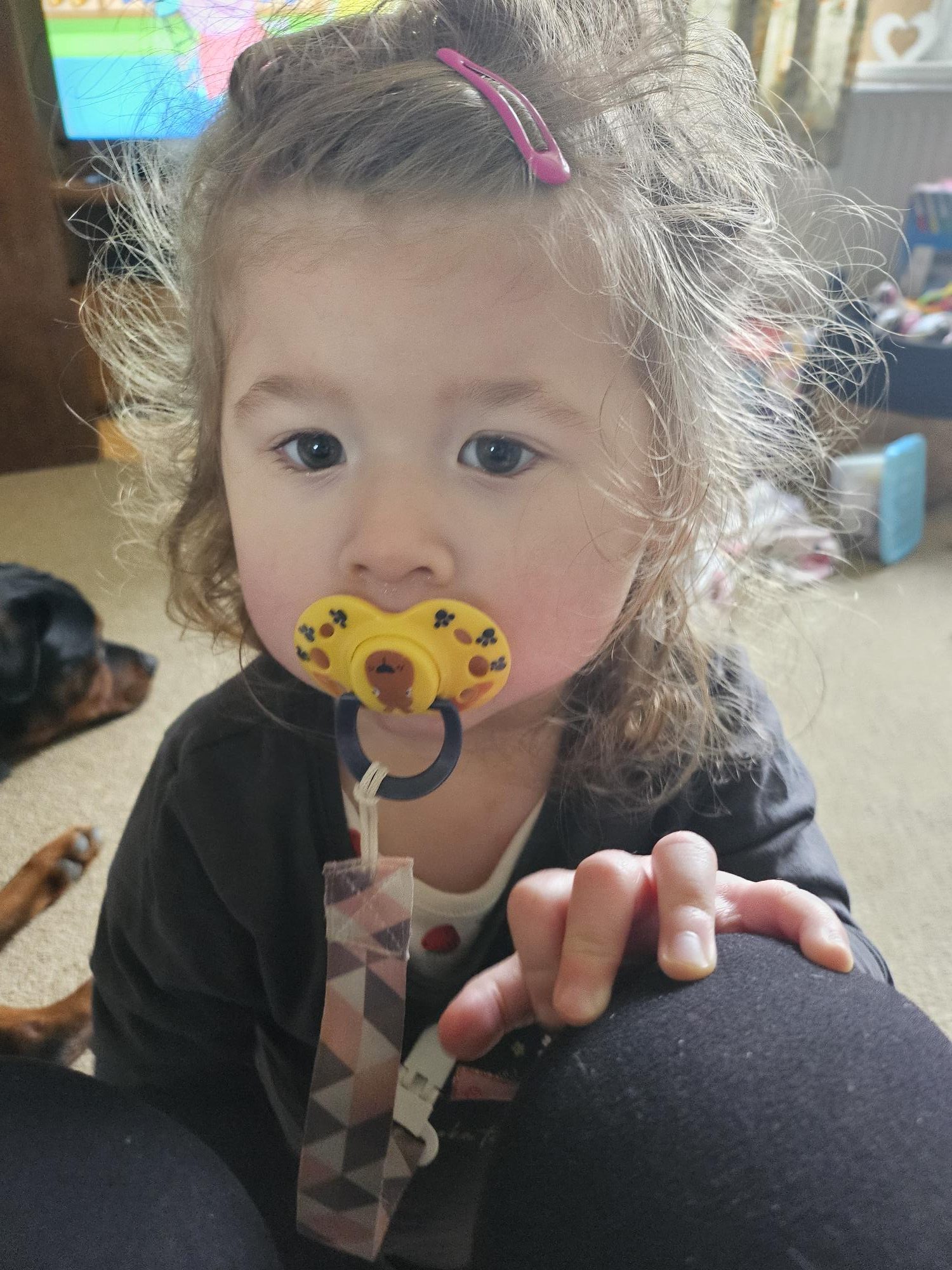 Home - Little Troopers